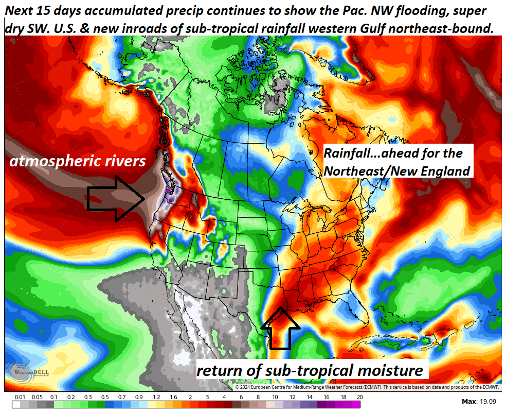 Precipitation projection next 15 days (ECMWF AI) | Weathering Heights ...